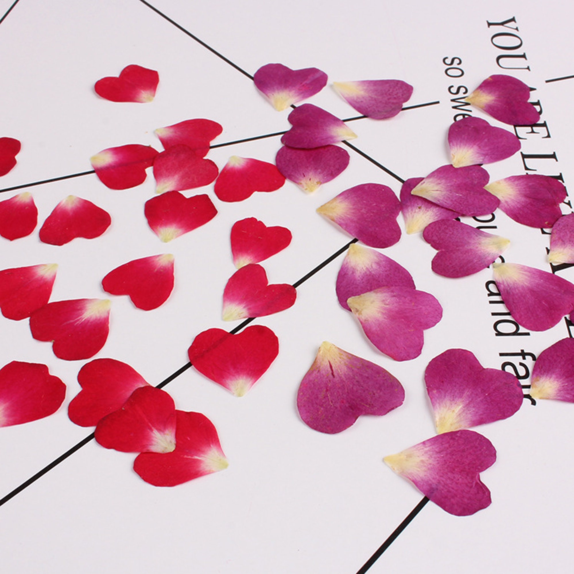 Heart Rose Petal,pressed Flowers,dried Flowers,dry Flowers,flowers ...