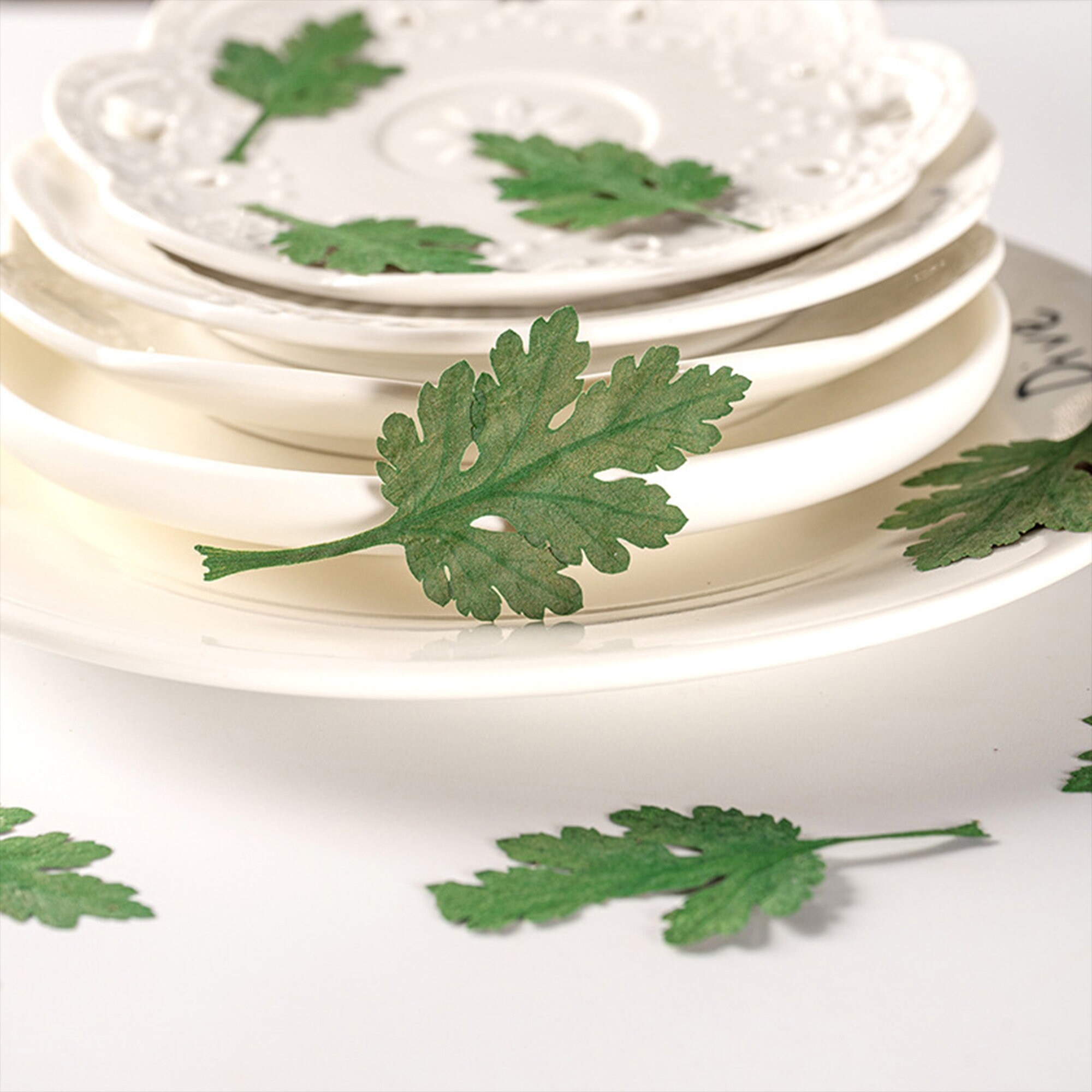 Hoja de crisantemo flor prensada flores secas flores secas - Etsy España