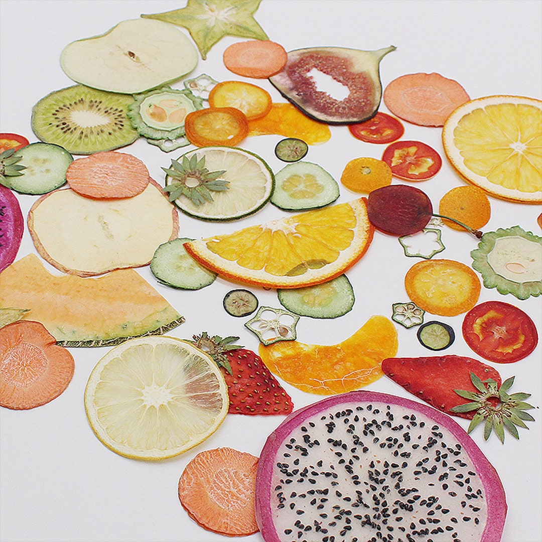 Fruits Specimen,pressed Flowers,dried Flowers,dry Flowers,flowers ...