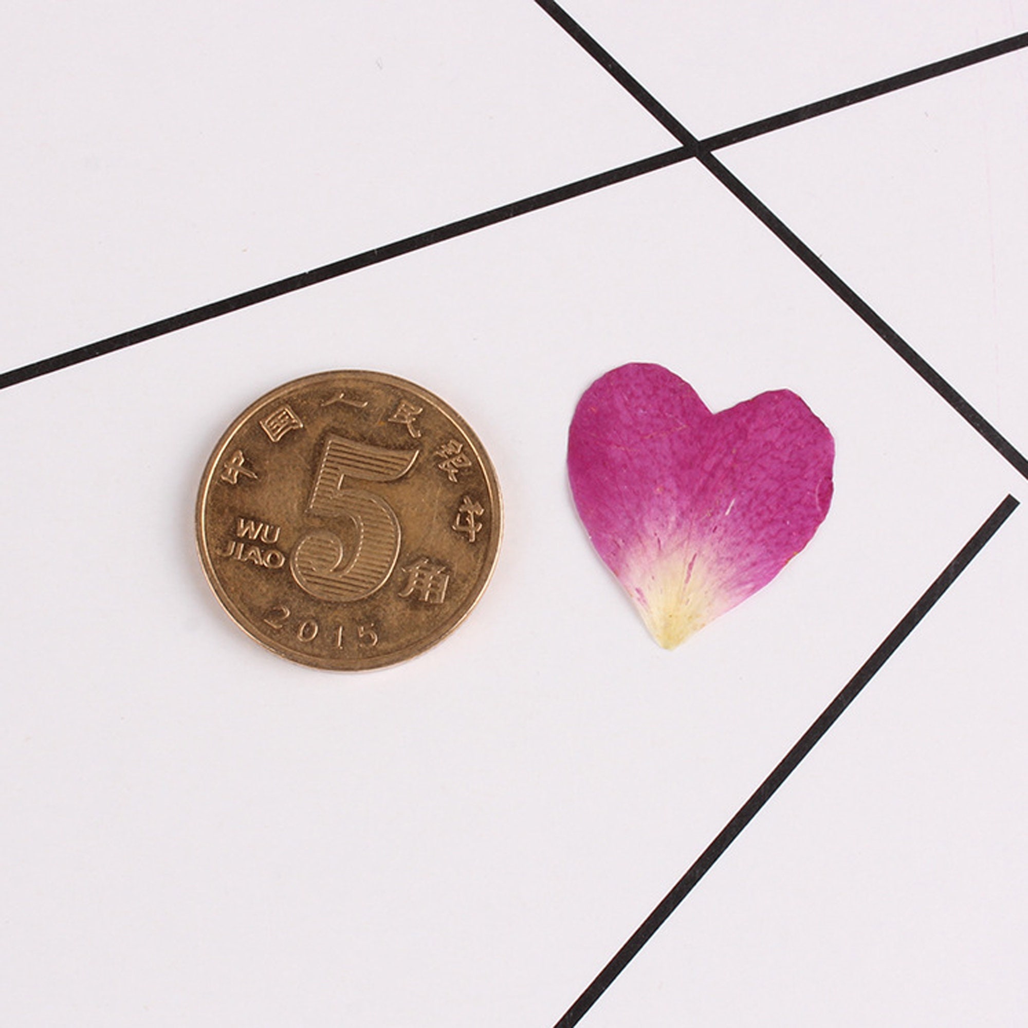 Heart Rose Petal,pressed Flowers,dried Flowers,dry Flowers,flowers ...