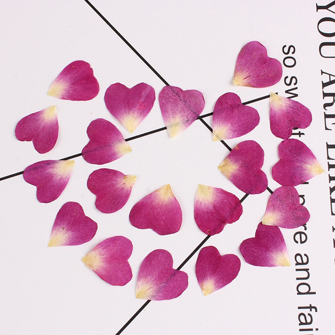 Heart Rose Petal,pressed Flowers,dried Flowers,dry Flowers,flowers ...