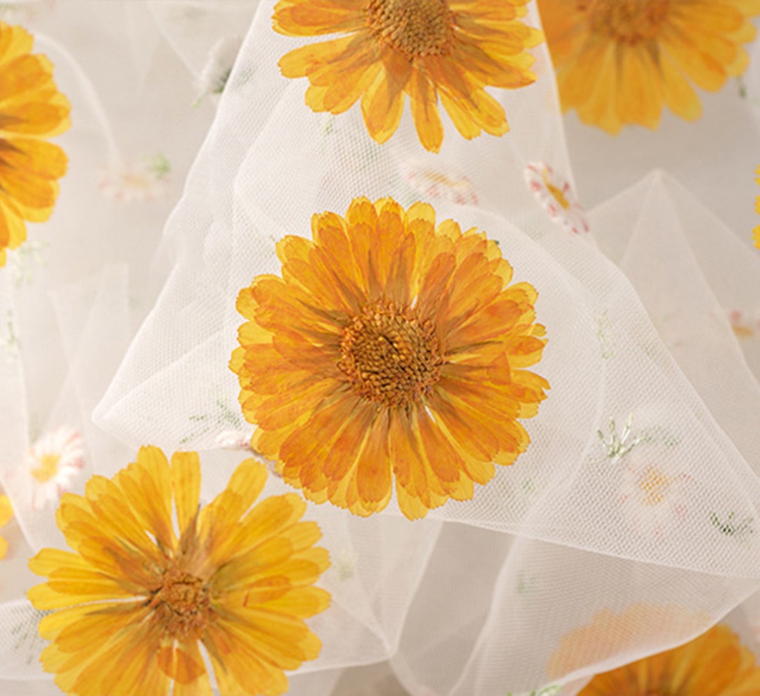Calendula Officinalis,pressed Flower,dried Flowers,dry Flower,flowers ...