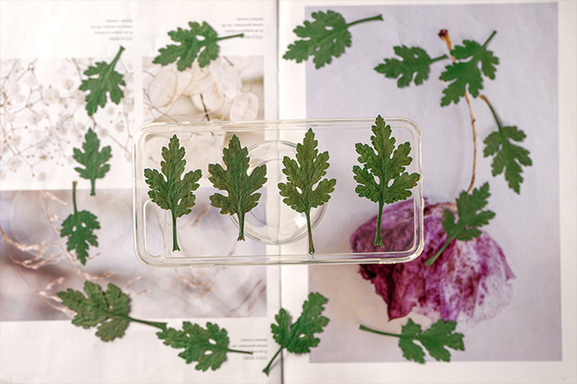 Hoja de crisantemo flor prensada flores secas flores secas - Etsy España