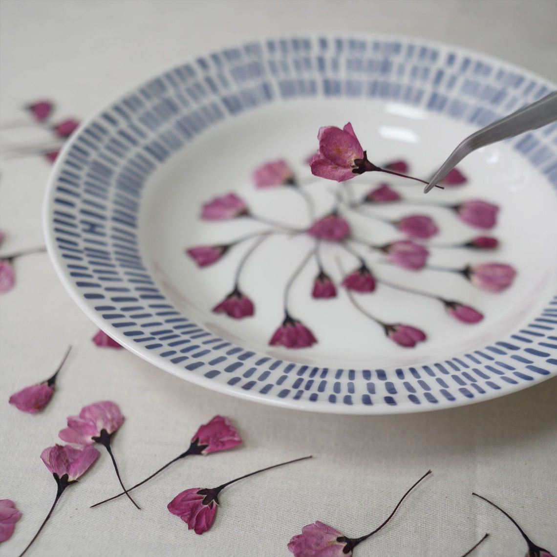 Cherry Blossoms Pressed,pressed Flower,dried Flower,flower,dry Flower ...