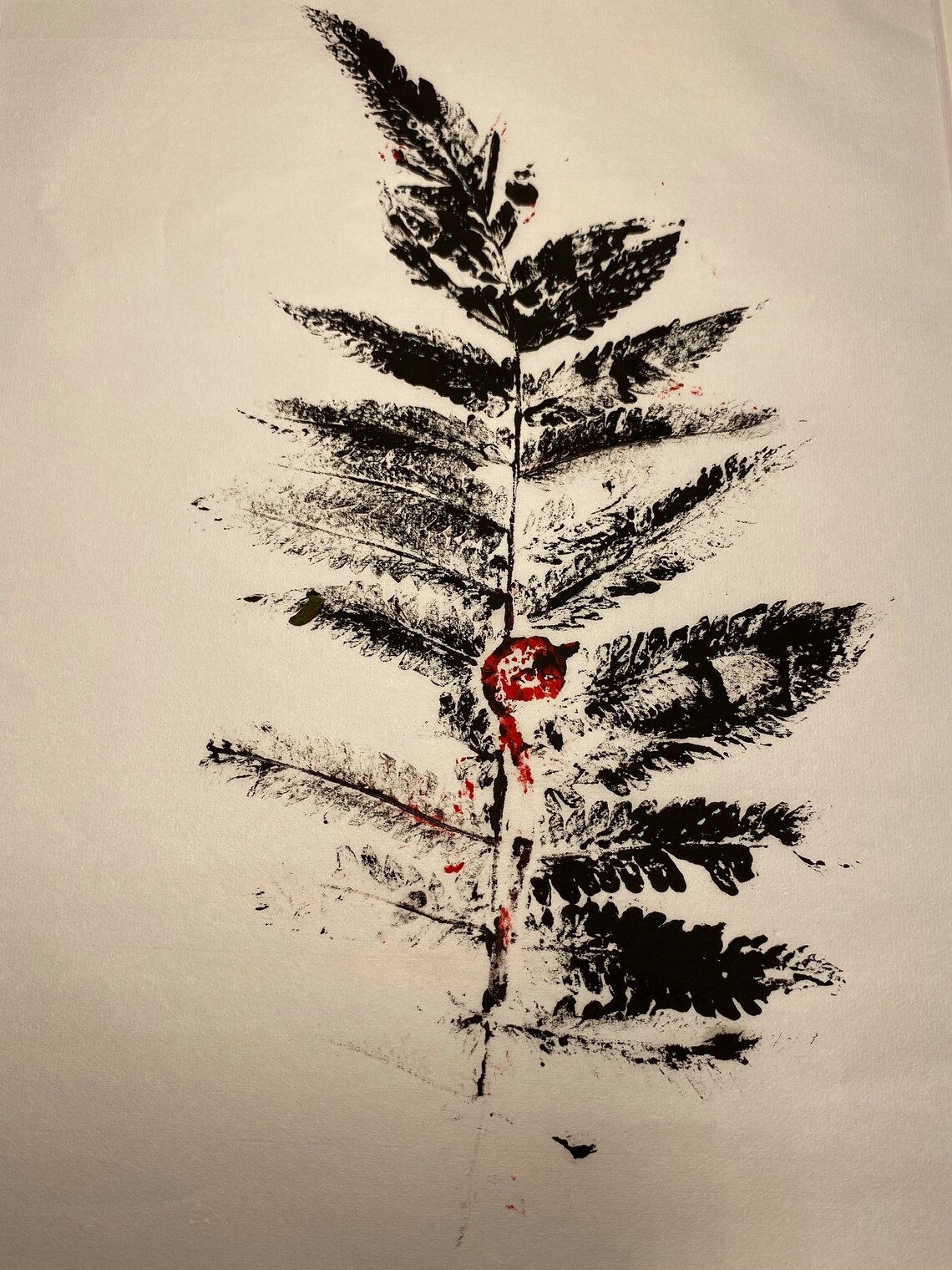 Fiddlehead Fern Black and Red - Etsy