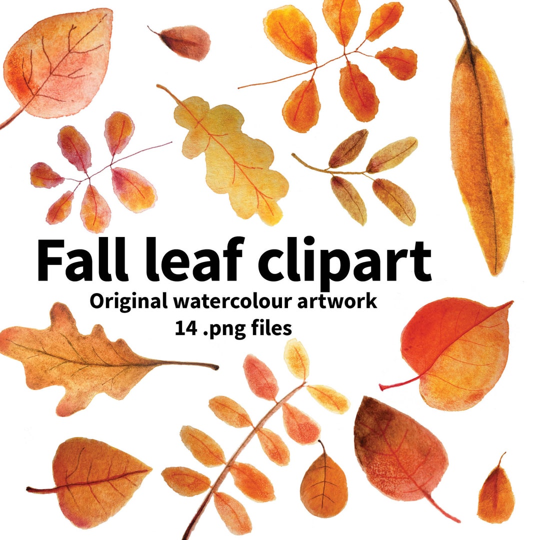Watercolour Fall Leaf Clip Art, Original Artwork - Etsy