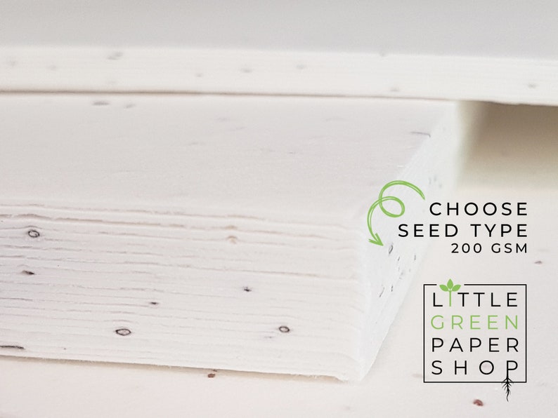 A3 200gsm Plantable Seed Paper LUX - Flowers Eco-friendly Biodegradable ...