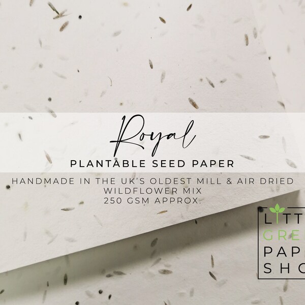 Plantable Seed Paper - Etsy