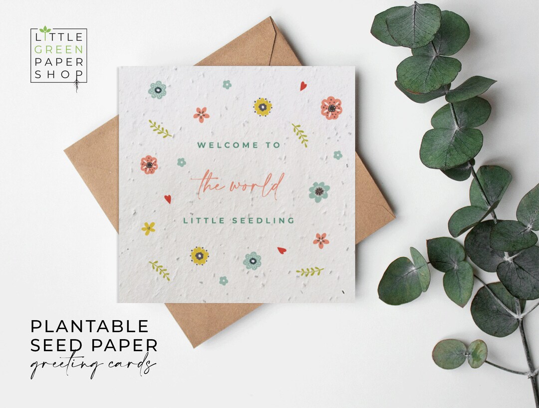 FLOWER Seed Paper, Seed Paper Cards, Wildflower Plantable Seed Card ...