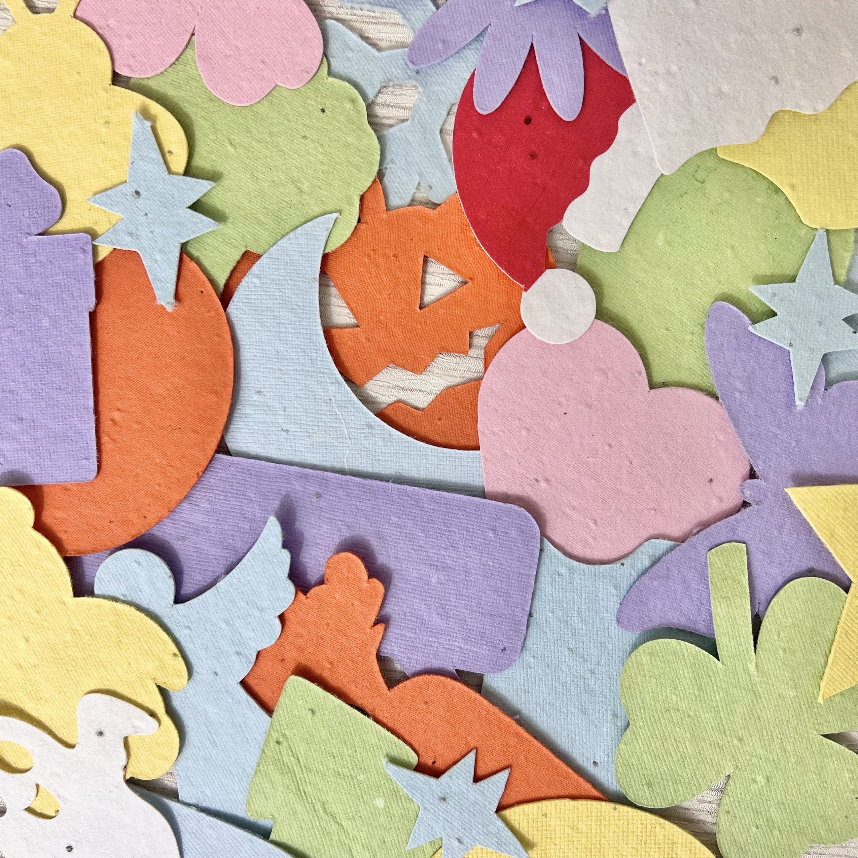 Assorted PLANTABLE Seed Paper SHAPES (pack of 15) Biodegradable Eco ...