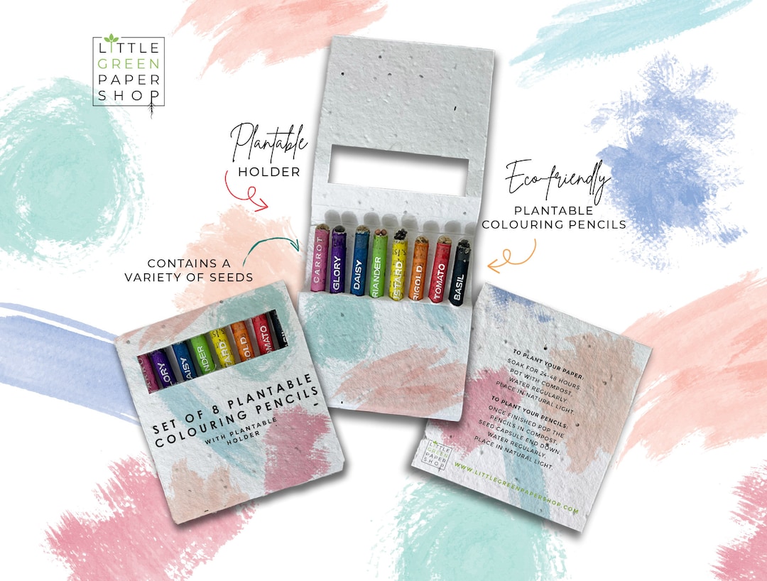 Eco-friendly Recycled Colouring Pencils in Seed Paper Packaging ...
