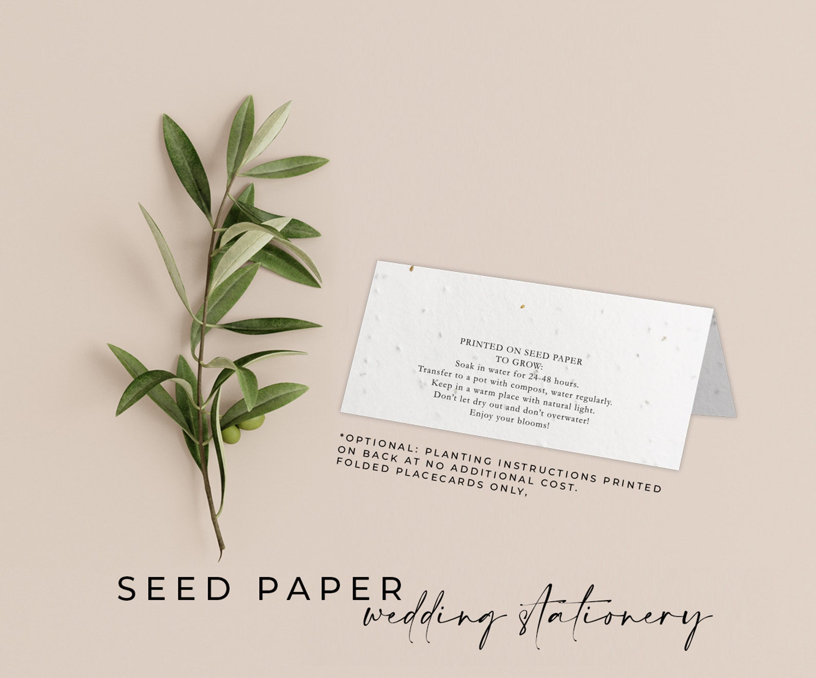 Plantable SEED PAPER Eco-friendly Sustainable Biodegradable - Etsy UK