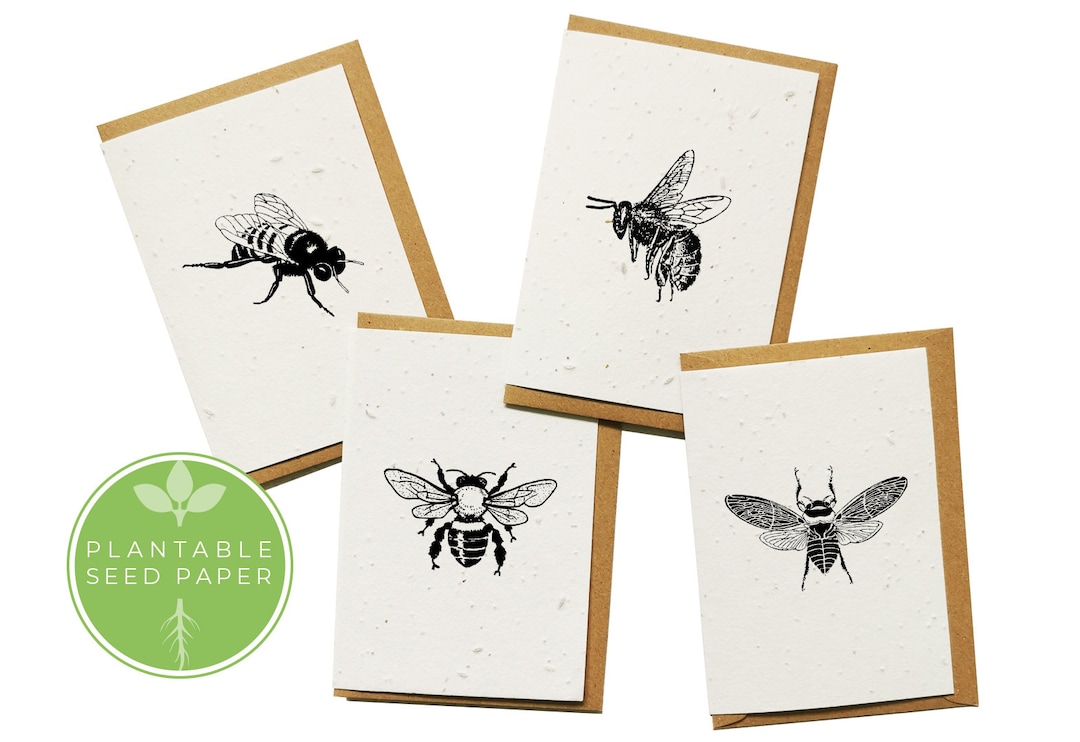 BEE Stationary, SEEDED CARDS, Bee Keeper Gift, Plantable Seed Cards ...