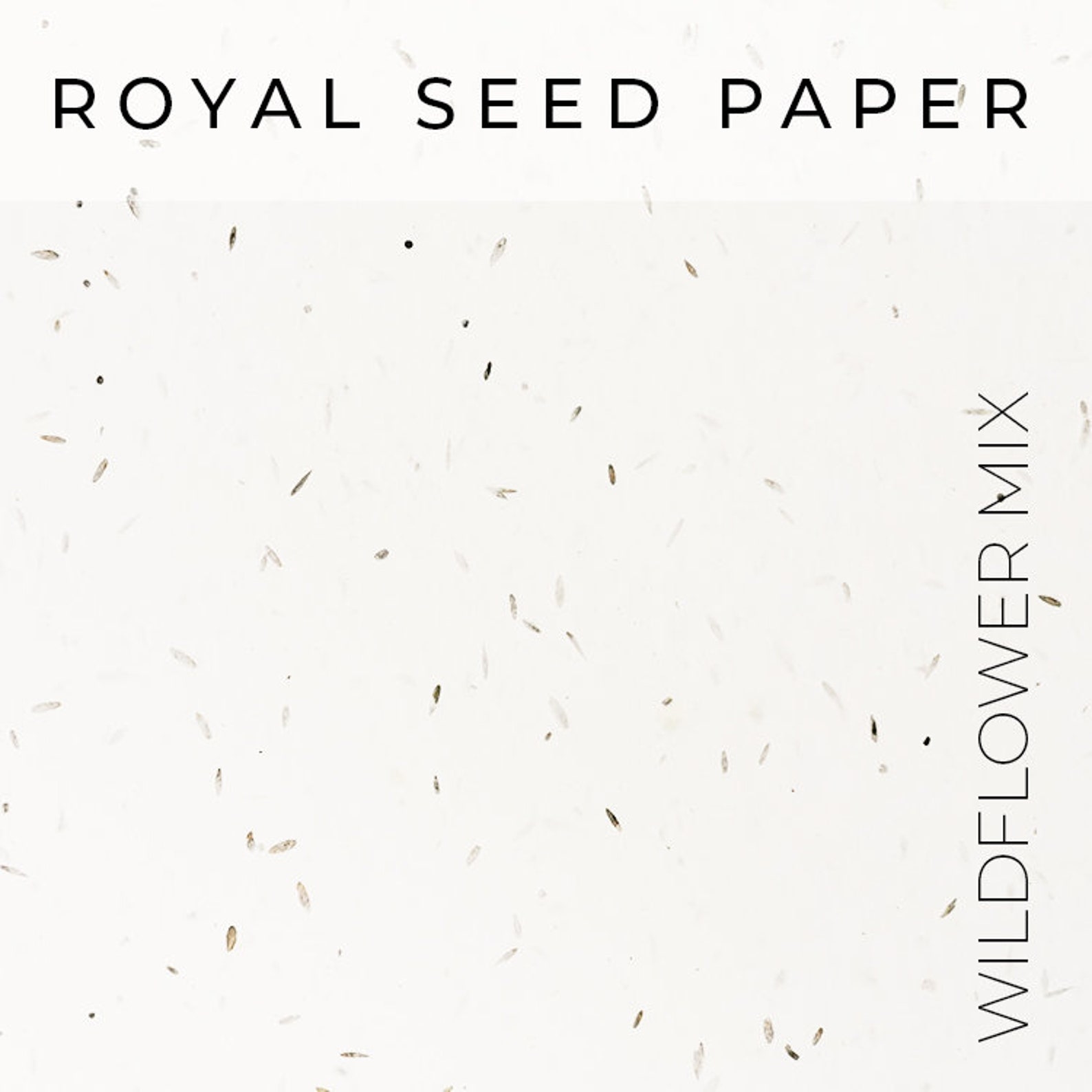 Plantable SEED PAPER Eco-friendly Sustainable Biodegradable - Etsy