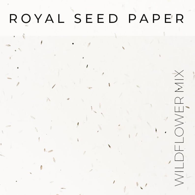 Plantable SEED PAPER Eco-friendly Sustainable Biodegradable - Etsy