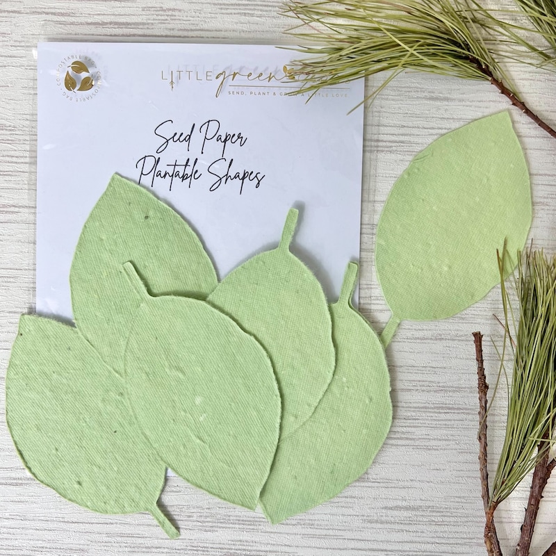 Plantable Paper - Etsy