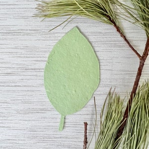 Assorted PLANTABLE Seed Paper SHAPES (pack of 15) Biodegradable Eco ...