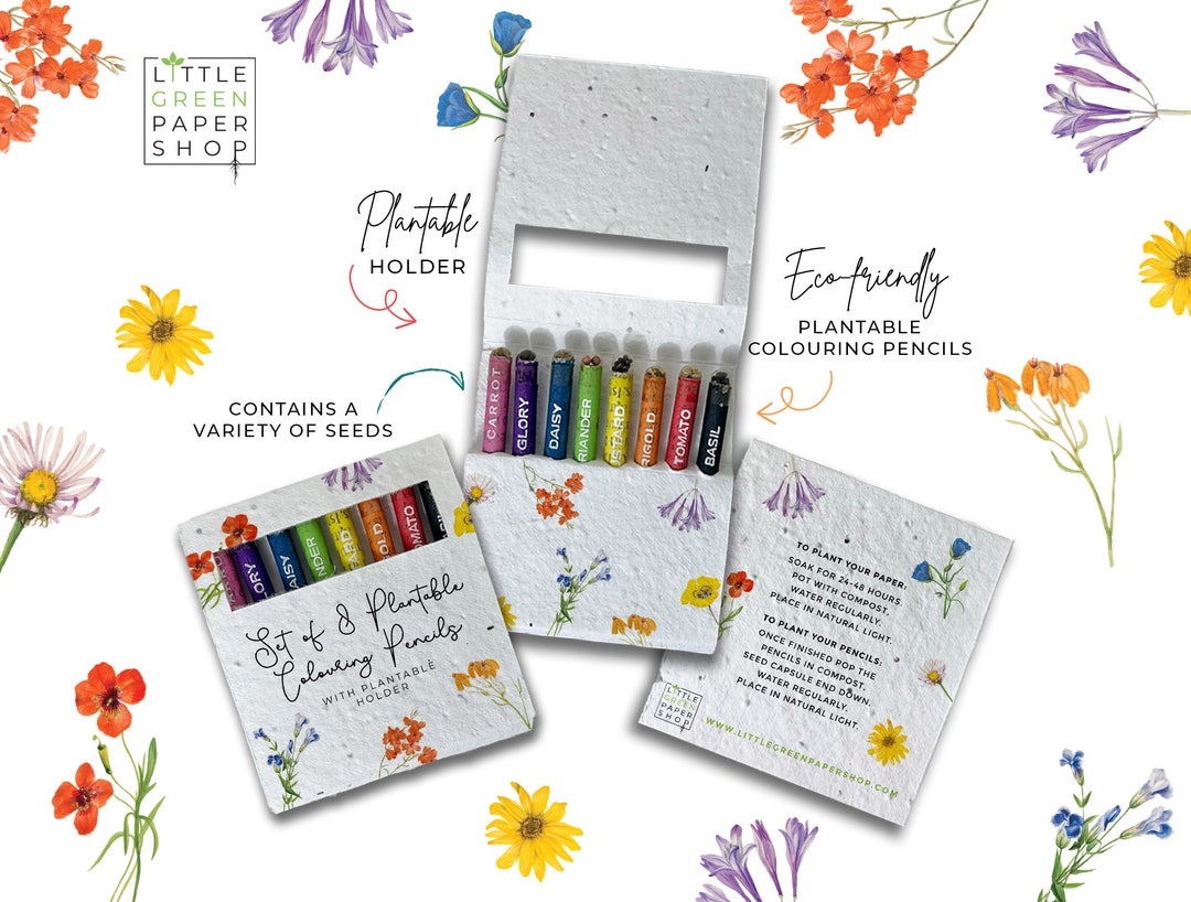 Eco-friendly Recycled Colouring Pencils in Seed Paper Packaging ...