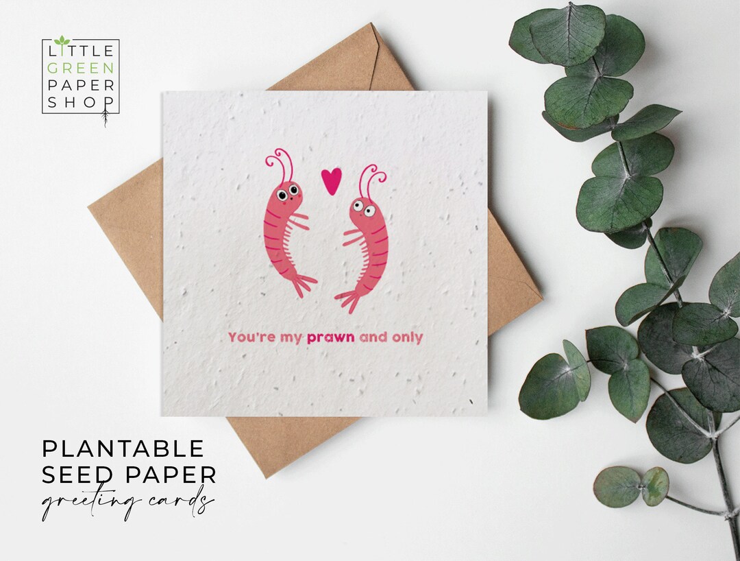 FLOWER Seed Paper, Seed Paper Cards, Wildflower Plantable Seed Card ...