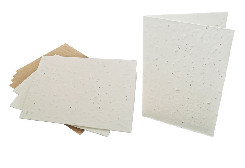Seed Paper CARDS Mini Note Cards Seeded Cards PLANTABLE - Etsy