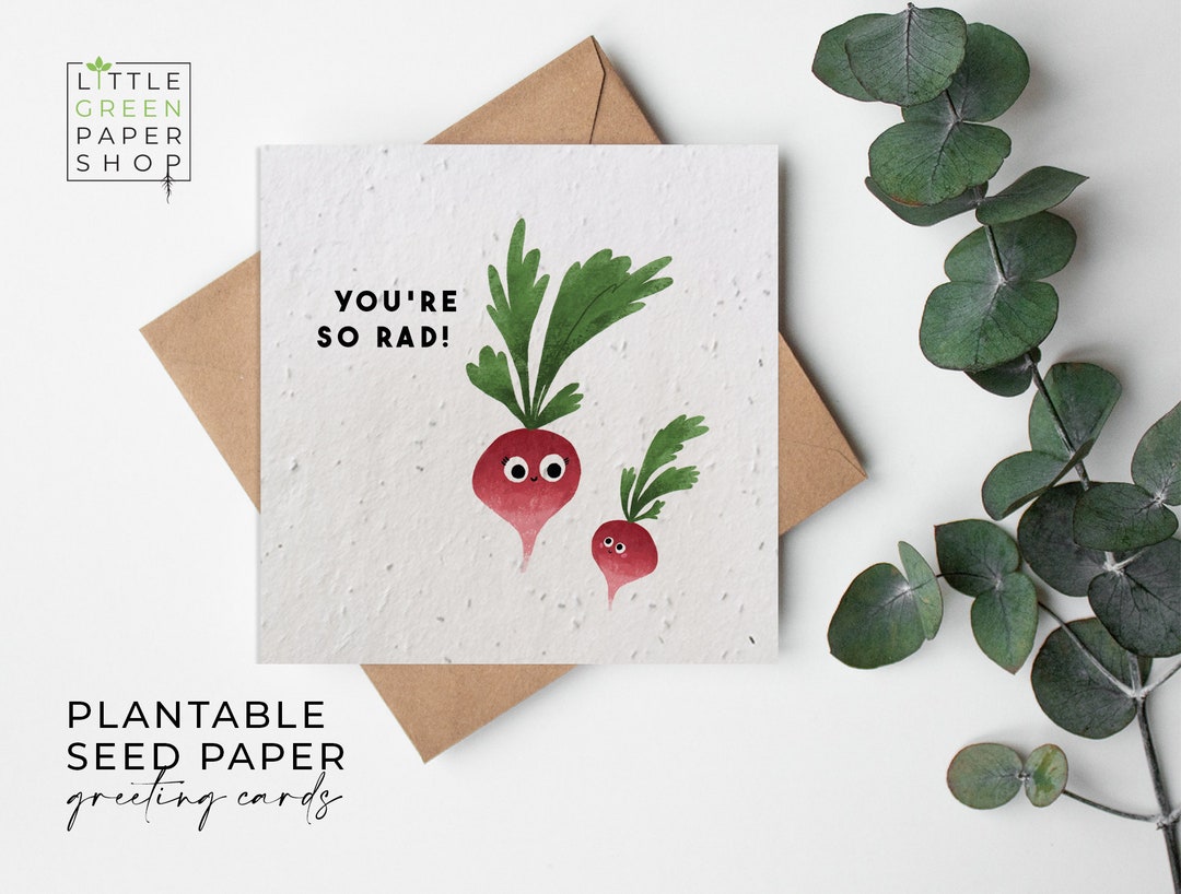 Plantable Flower Seed Paper Cards, Funny, Cute, Everyday Card, Pun ...