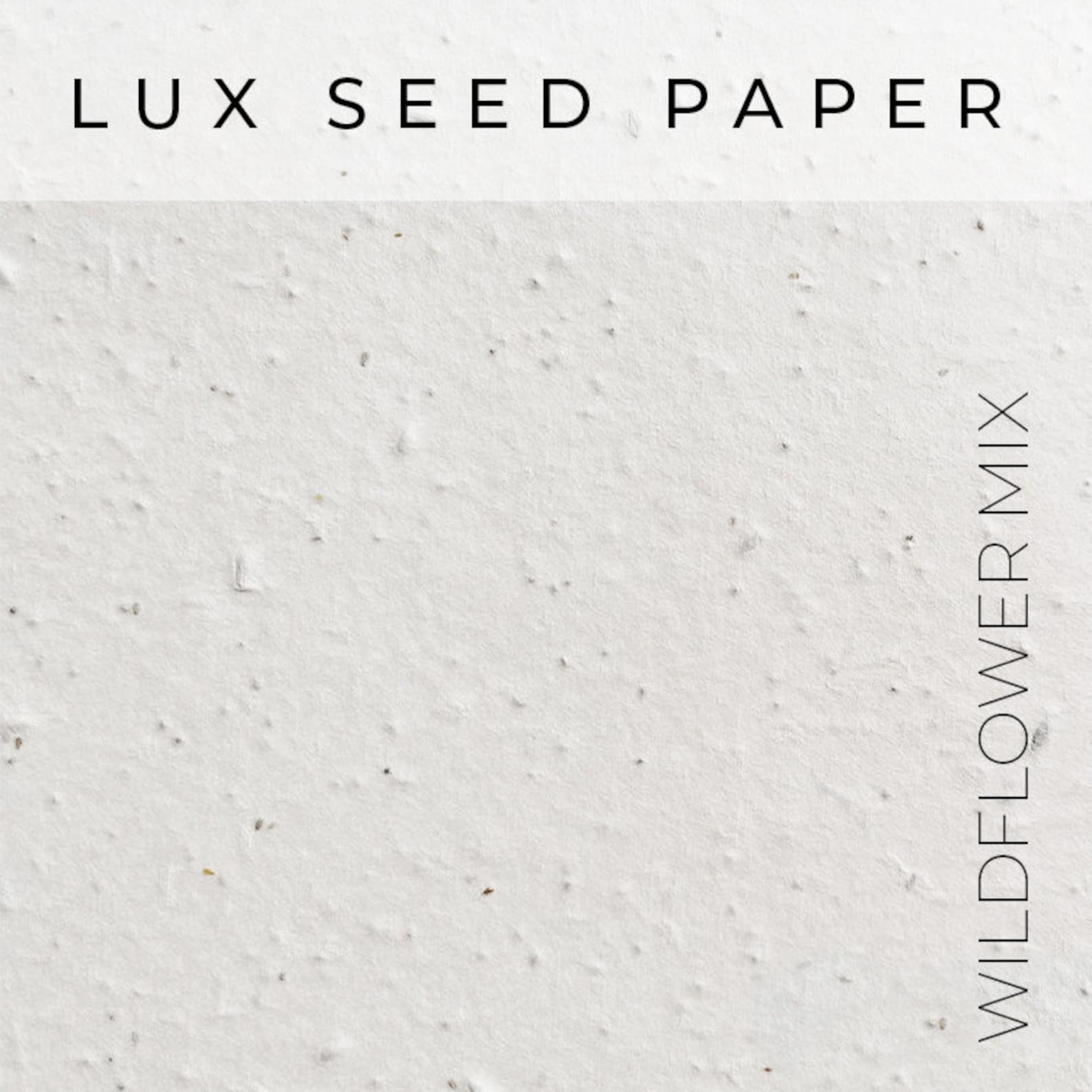 Plantable SEED PAPER Eco-friendly Sustainable Biodegradable - Etsy