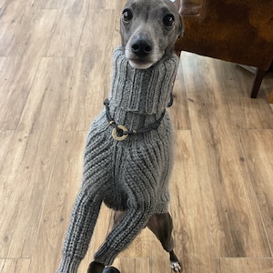 Knitted Sweater for Italian Greyhounds and Whippets . Handmade Knit ...