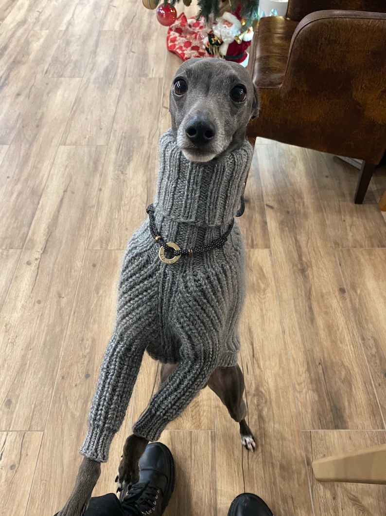 Knitted Sweater for Italian Greyhounds and Whippets . Handmade Knit ...