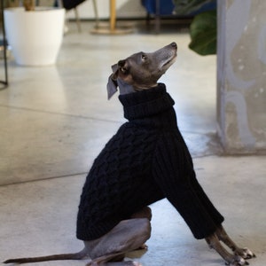 Merino Wool Knitted Sweater for Italian Greyhounds . Handmade Knit ...