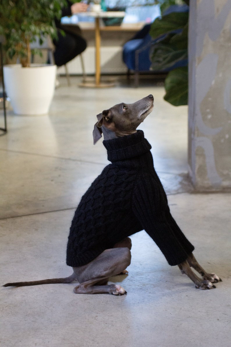 Merino Wool Knitted Sweater for Italian Greyhounds . Handmade Knit ...