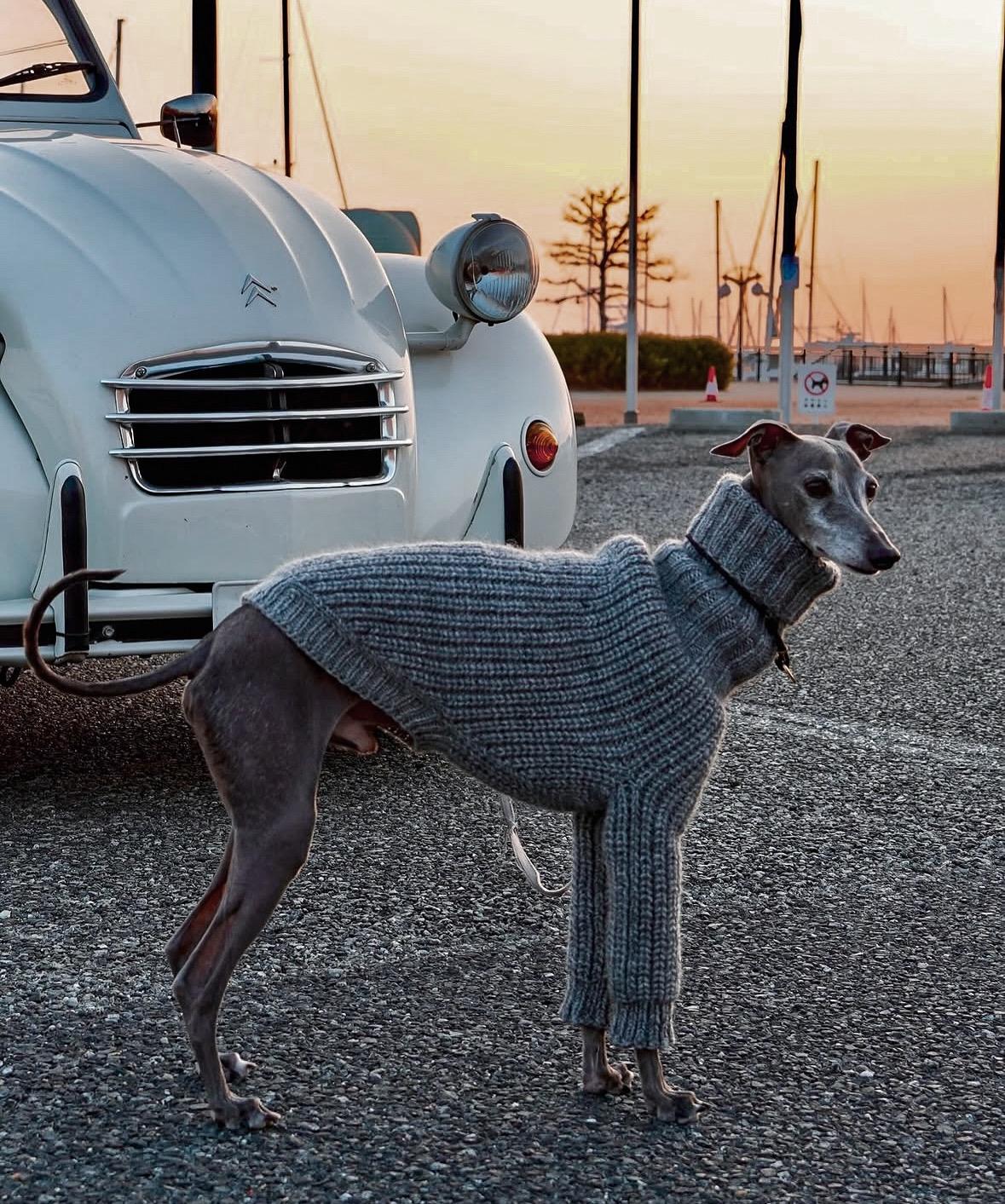 Knitted Sweater for Italian Greyhounds and Whippets . Handmade Knit ...
