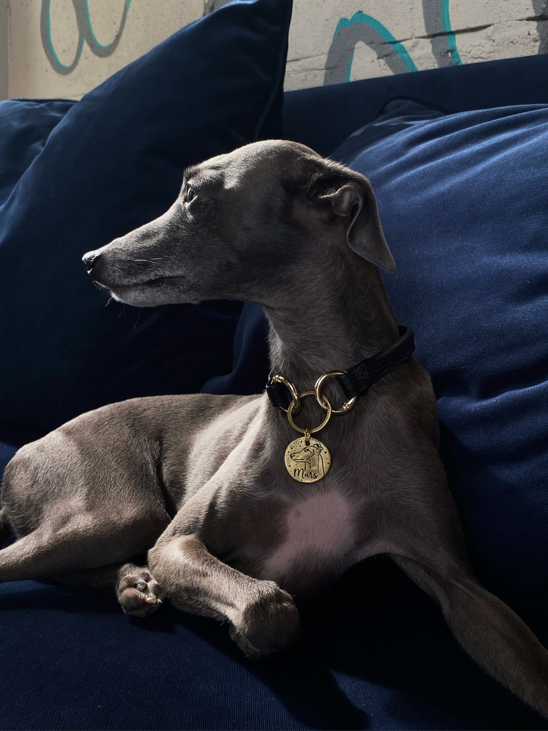 Genuine Leather Nametag House Collar . ID Tag Collar . Engraved Nametag ...