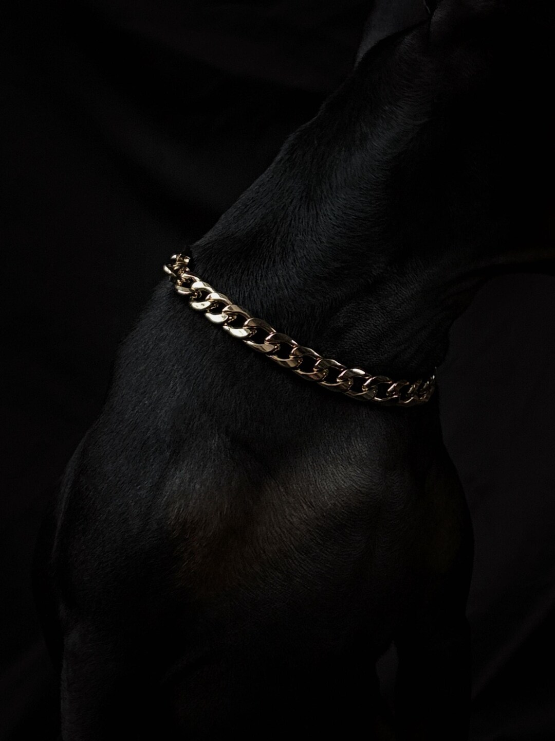 Cuban Link Dog Chain Accessory . Chain House Collar for Small and ...