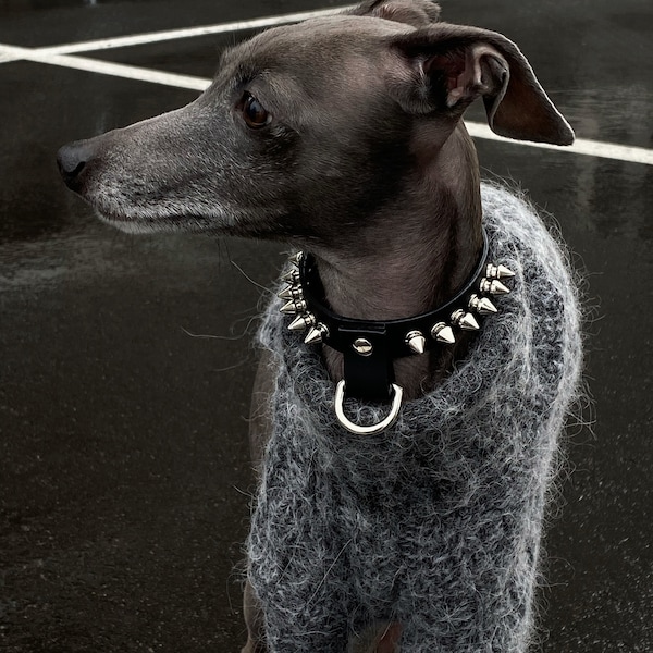 Spiked Dog Collar - Etsy