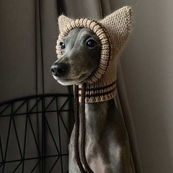 Hats for Dogs - Etsy