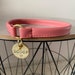 Genuine Leather House Collar With a Nametag. Personalized Collar for ...