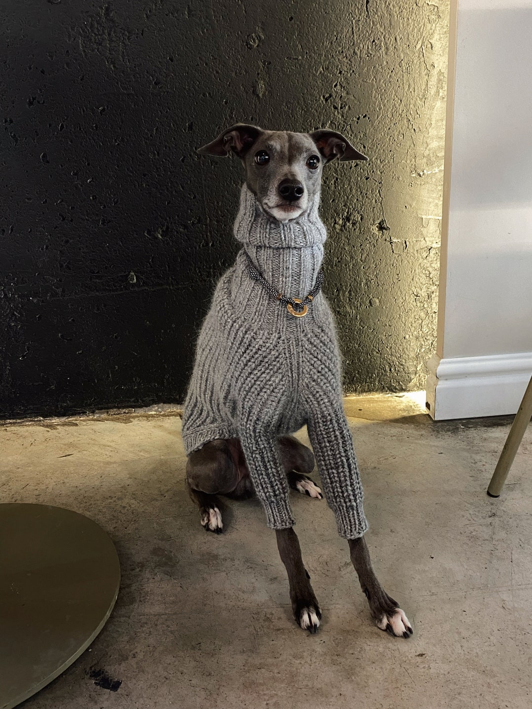 Knitted Sweater for Italian Greyhounds . Handmade Knit Sweater - Etsy