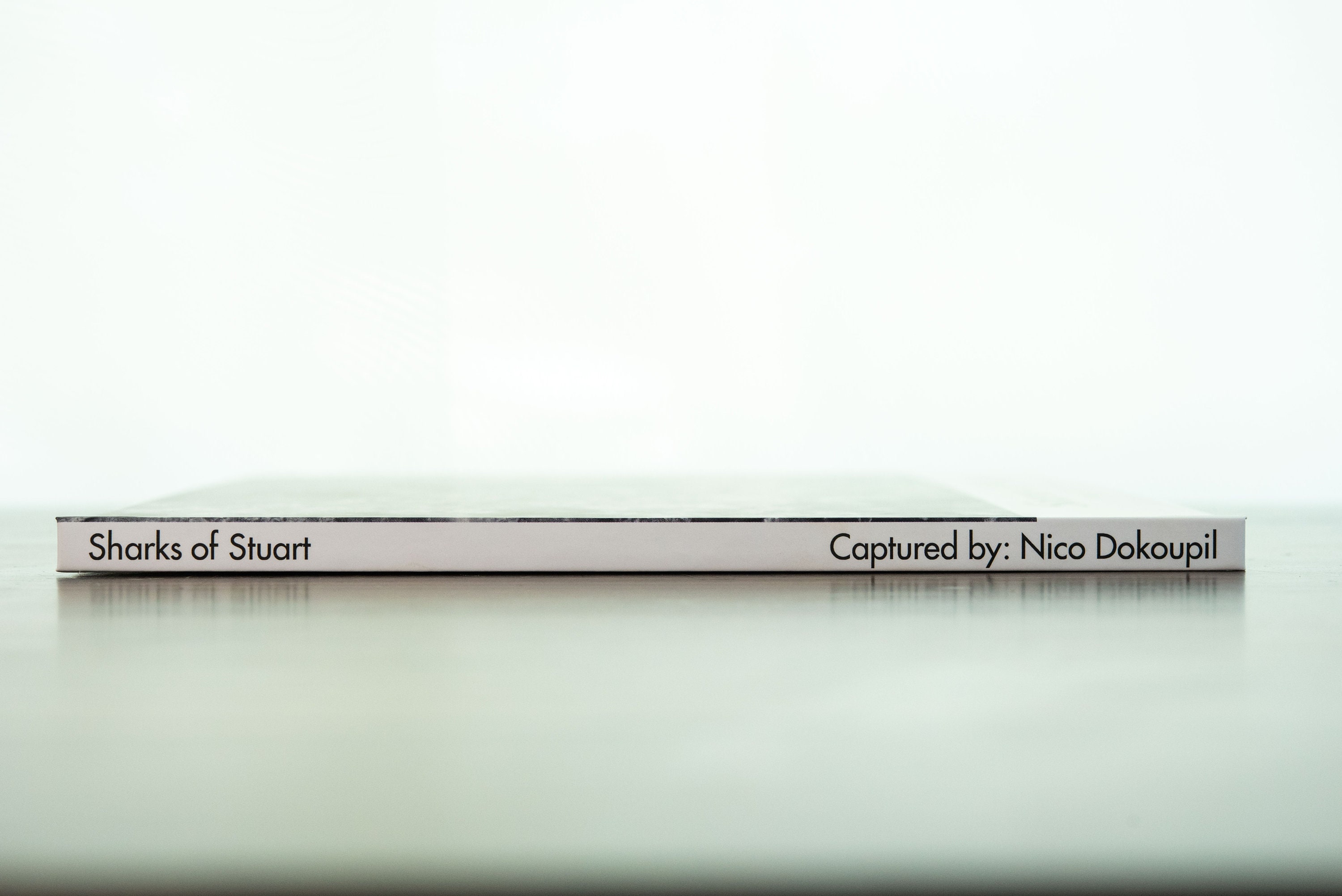 Sharks of Stuart Photo Book - Coffee Table Book - Photography - Etsy