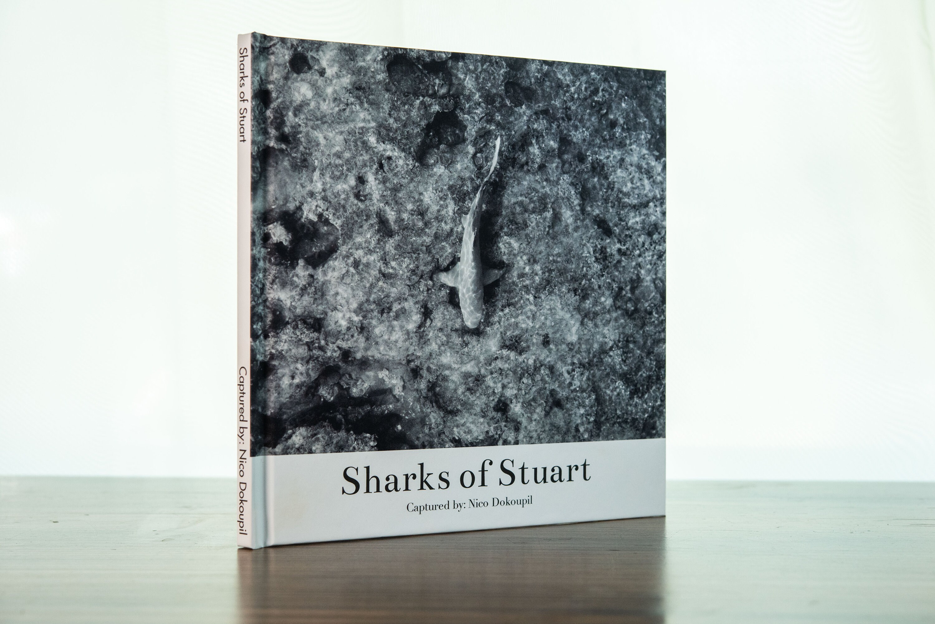 Sharks of Stuart Photo Book - Coffee Table Book - Photography - Etsy