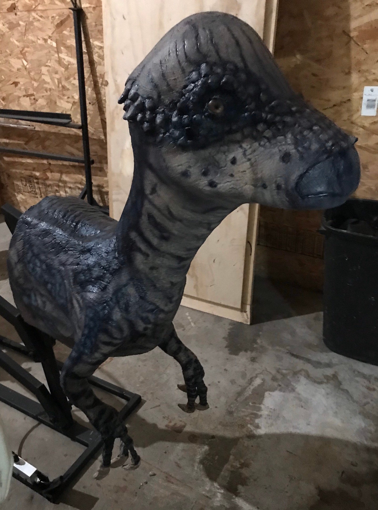 Half body pachy dinosaur animatronic with glass eyes | Etsy