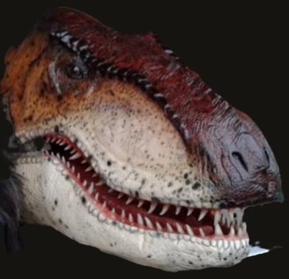 T-rex full size exotic head display | Etsy
