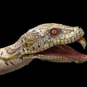 Animatronic Pop up Mechanism 30 Classic - Etsy