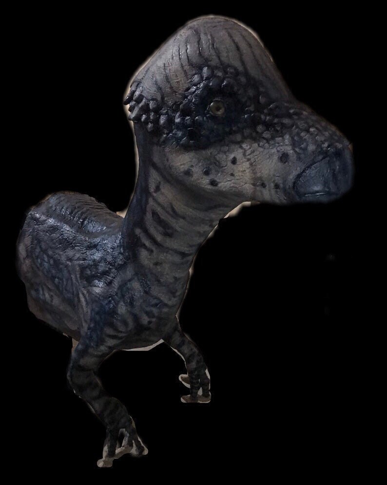 Half Body Pachy Dinosaur Animatronic With Glass Eyes - Etsy