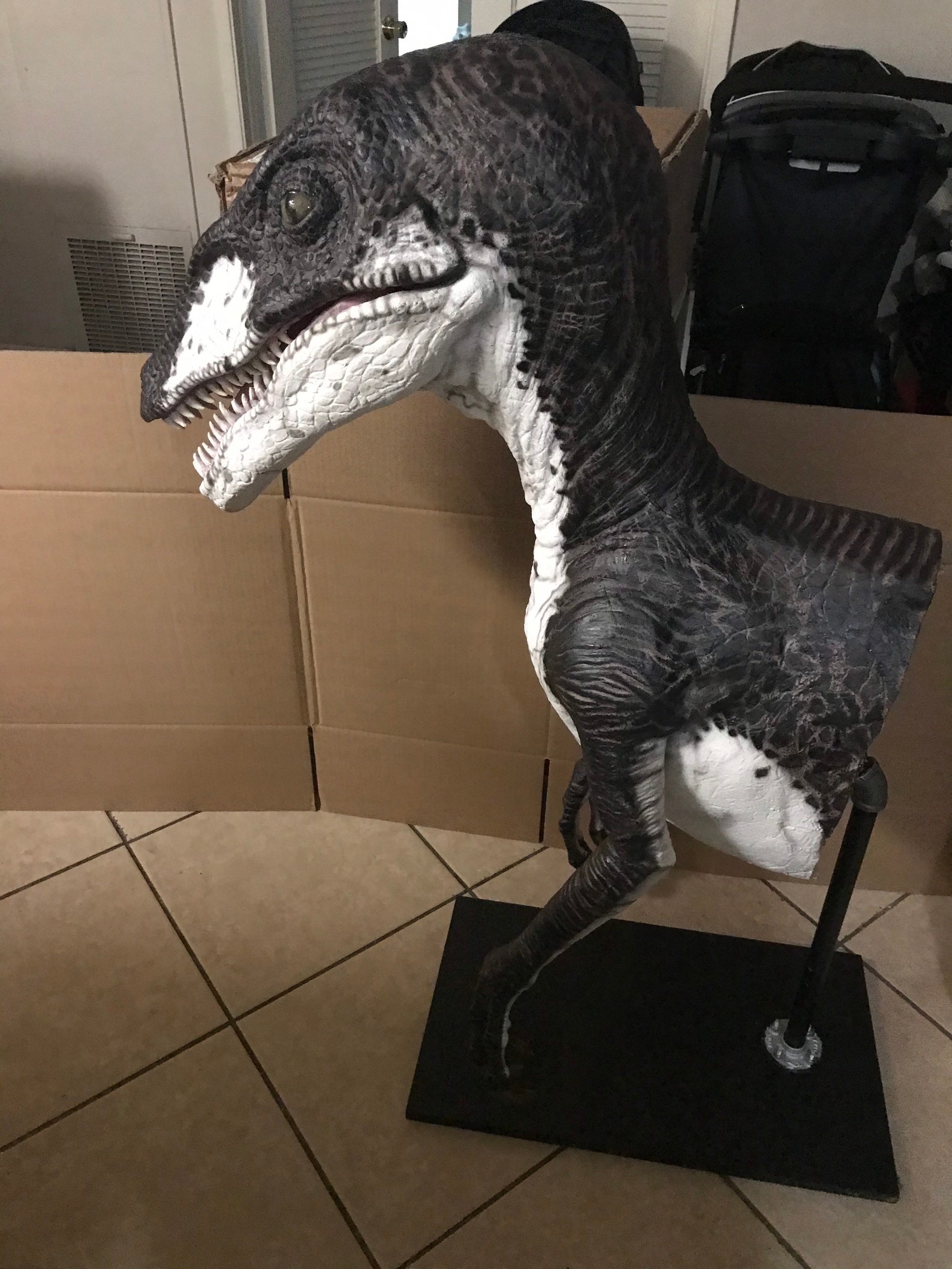 Velociraptor Half Body Display - Etsy