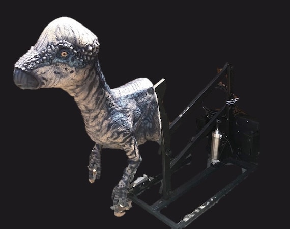 Half Body Pachy Dinosaur Animatronic With Glass Eyes | Etsy