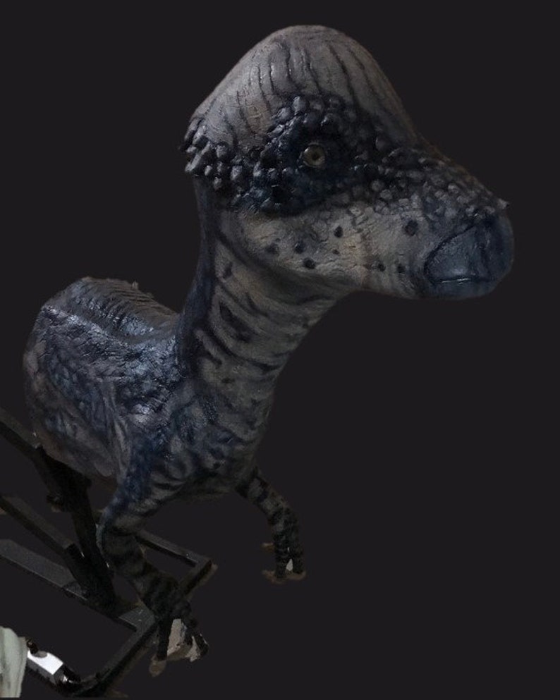 Half Body Pachy Dinosaur Animatronic With Glass Eyes - Etsy