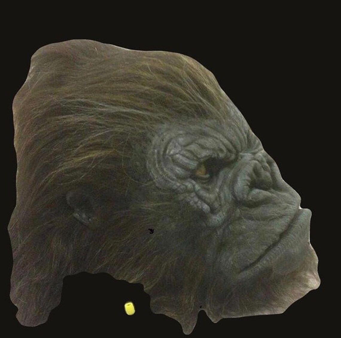 King Kong Full Size Head Display - Etsy