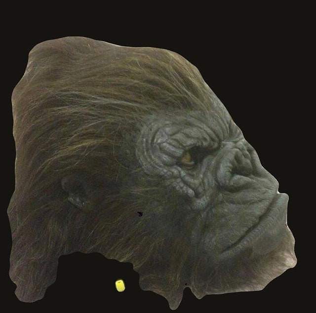 King Kong Full Size Head Display - Etsy