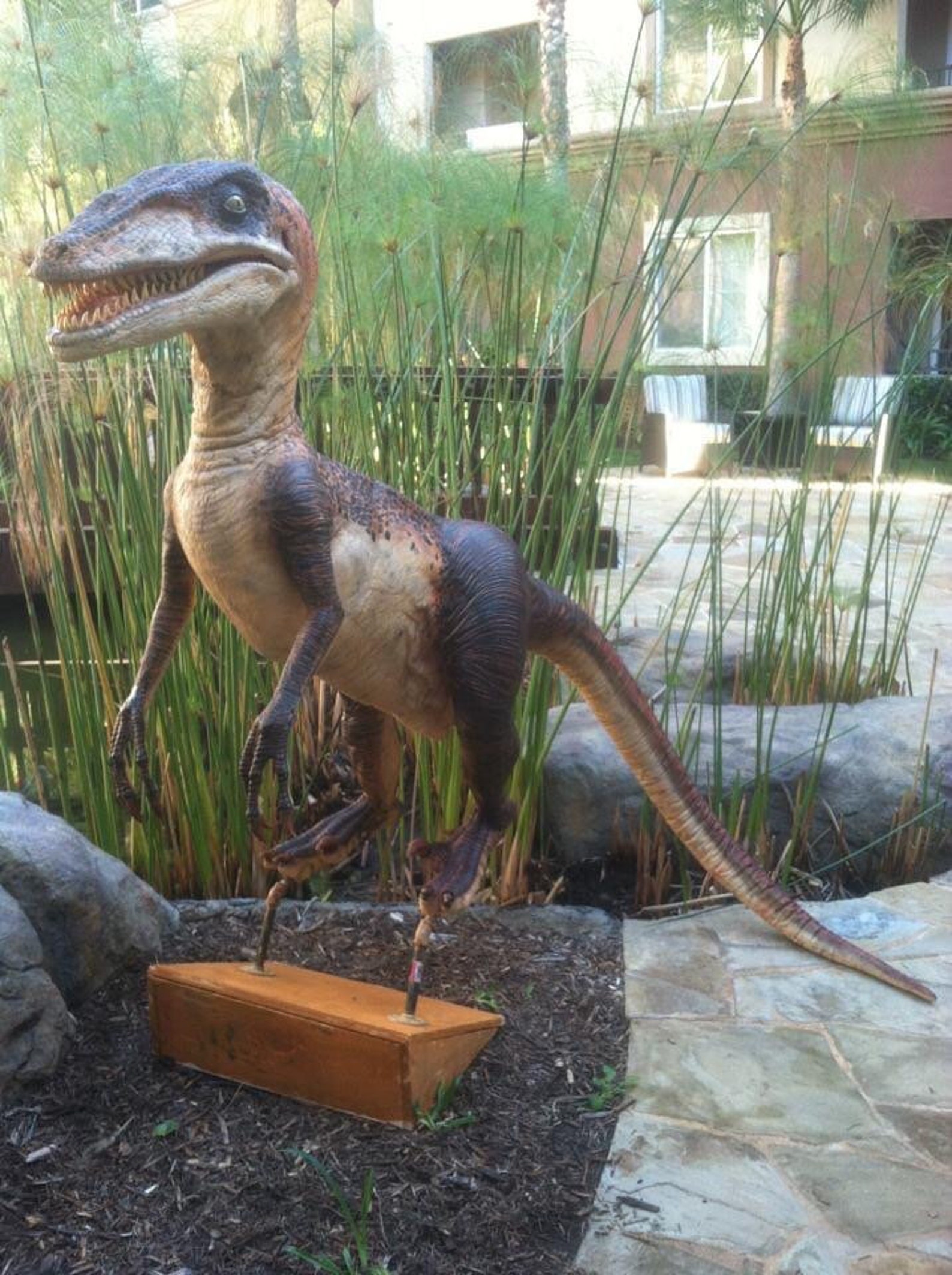 Velociraptor Full Display Flexible and Poseable - Etsy