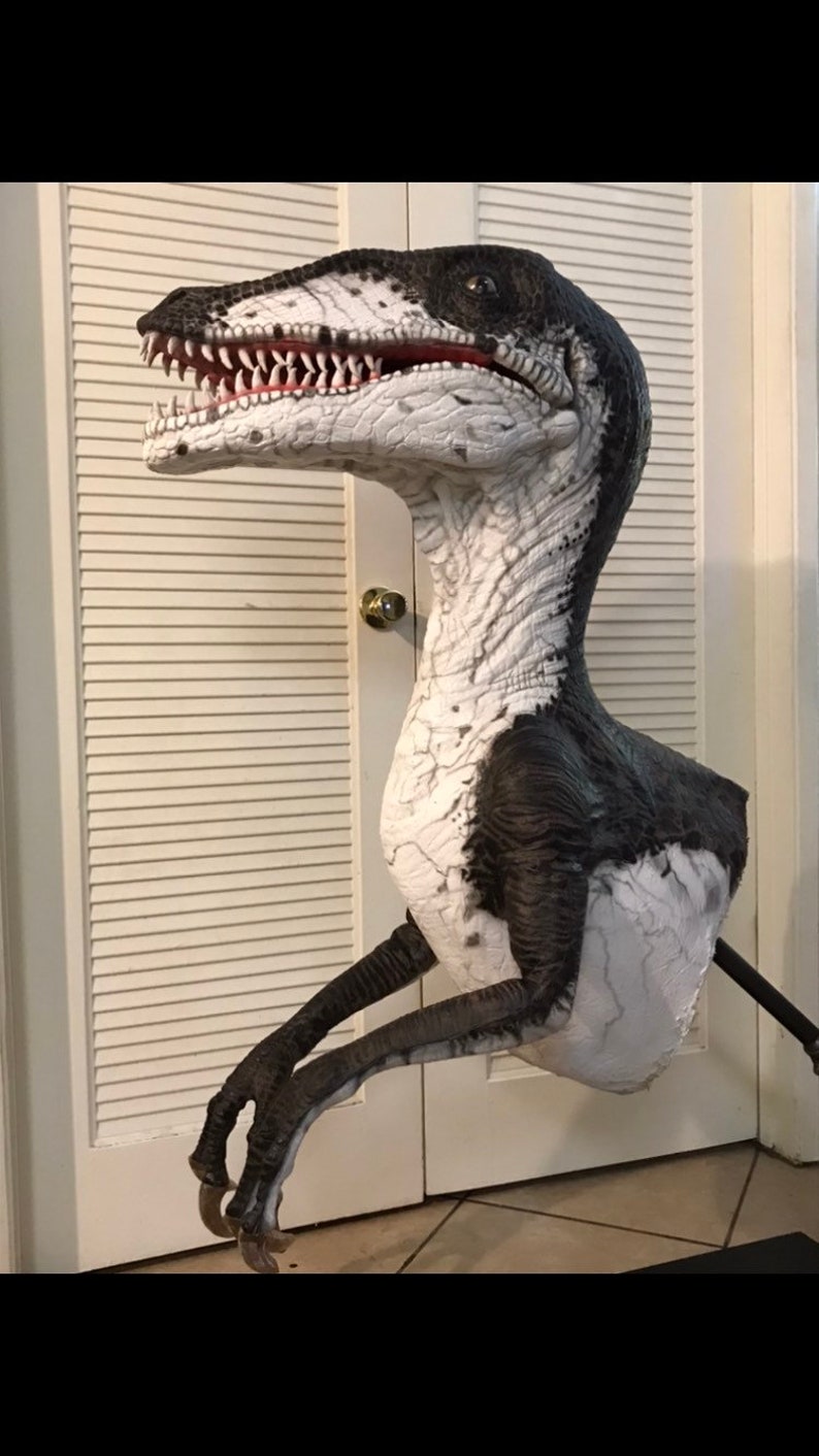 Velociraptor Half Body Display - Etsy